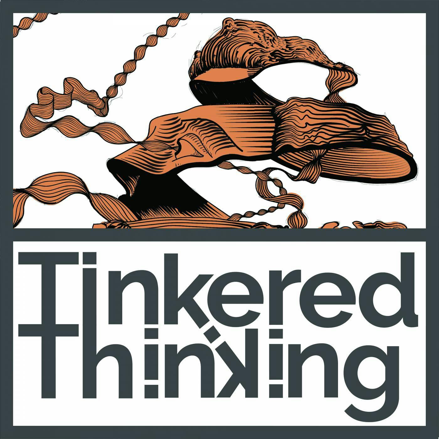 The Narratives of Others | Tinkered Thinking • Podcast Notes
