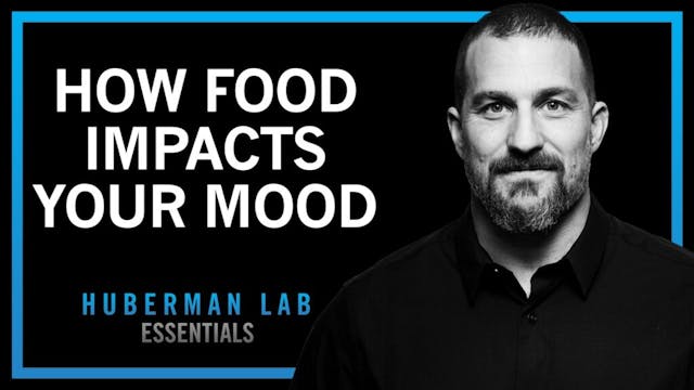 Dr. Stacy Sims: Female-Specific Exercise & Nutrition For Health ...