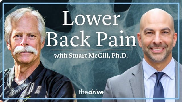 Lower back pain: causes, treatment, and prevention of lower back injuries and pain | Stuart ...