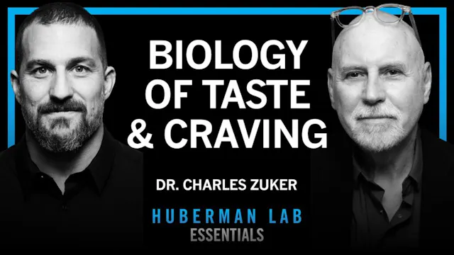 Essentials: The Biology of Taste Perception & Sugar Craving | Dr ...
