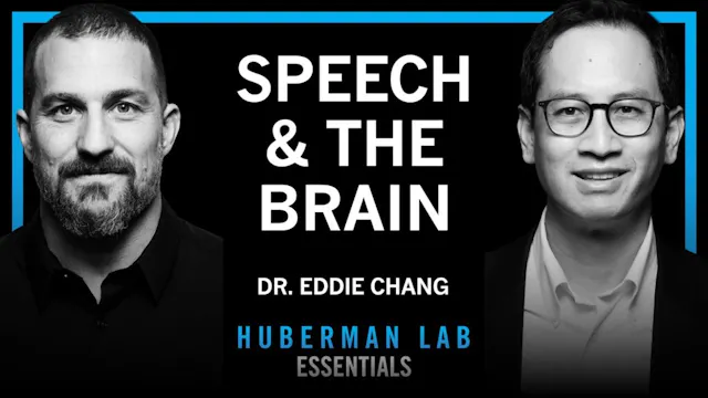 Essentials: The Science of Learning & Speaking Languages | Dr. Eddie ...